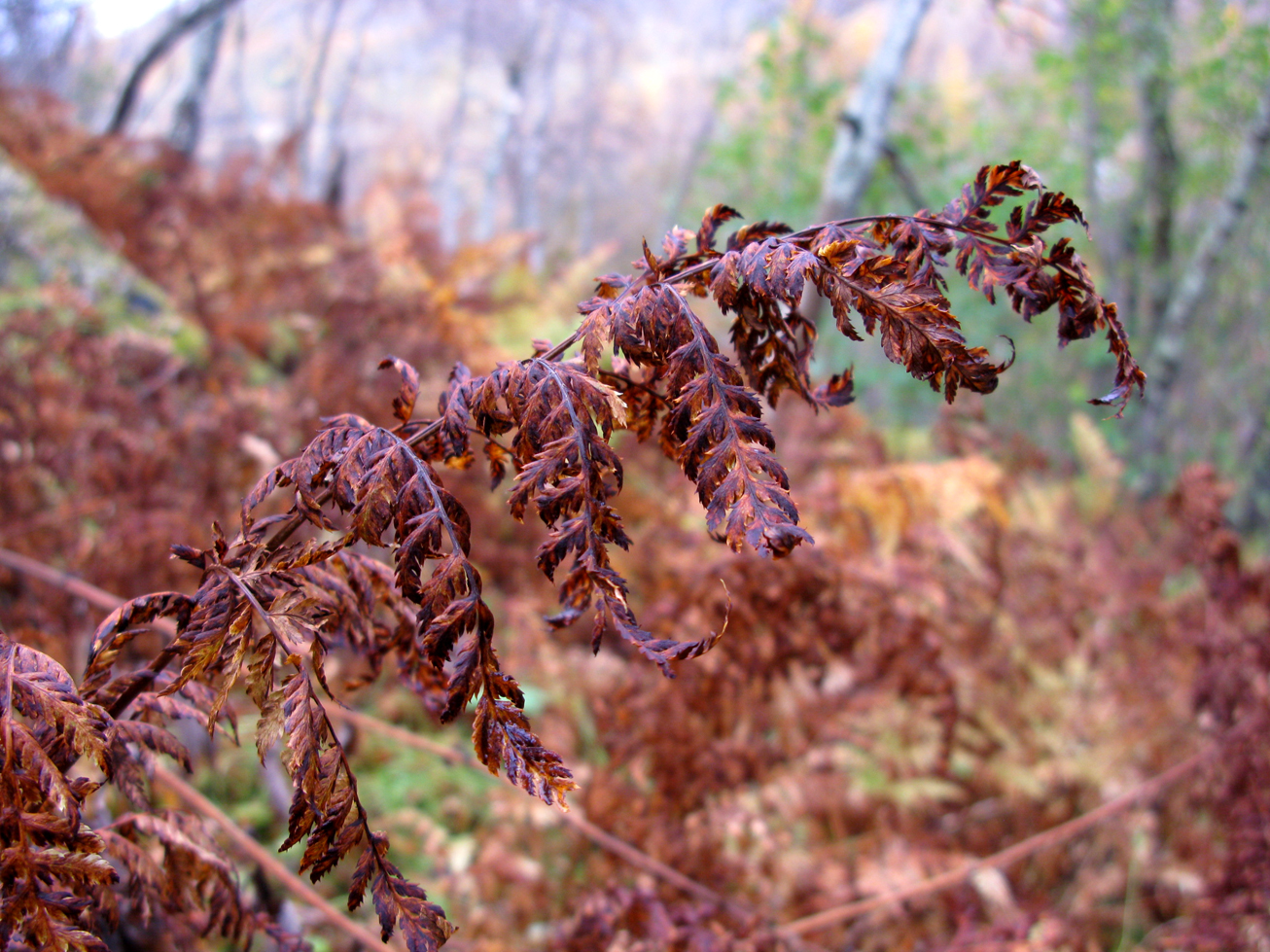 Retur til Danmark | Hold pulsen oppe!